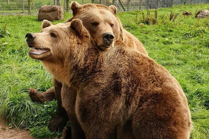 Highland Cows, Walk Alpacas & Visit a Scottish Wildlife Centre - FAQ
