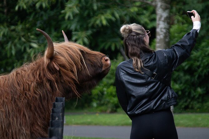 Highlands Cows Glencoe and Castles Private Tour from Glasgow - Rest and Be Thankful: The Highland Viewpoint