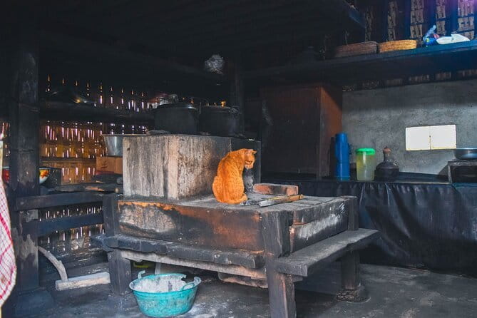 Highlight of Bali Tour - What to Expect