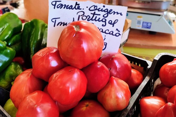 Highlights & Culinary Kickstart of Ericeira Private Tour - An Authentic Taste of Ericeira in Just a Few Hours