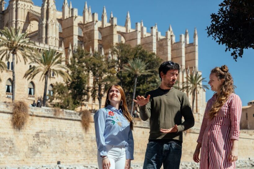 Highlights & Hidden Gems of Palma de Mallorca Private Tour - What We Loved and What to Consider