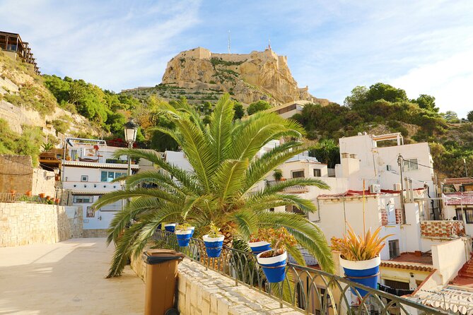 Highlights & Hidden Gems With Locals: Best of Alicante Private Tour - Customizing Your Alicante Experience