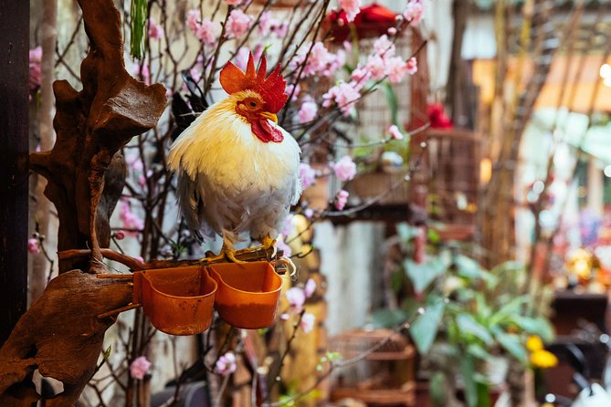 Highlights & Hidden Gems With Locals: Best of Hanoi Private Tour - The Experience Itself: What to Expect