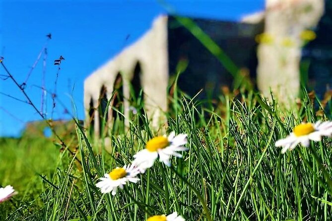 Highlights of Albania - Planning Your Trip: What to Expect and How to Book