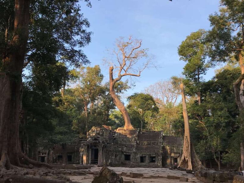 Highlights of Angkor Wat, Ta Prohm & Angkor Thom - Detailed Breakdown of the Itinerary