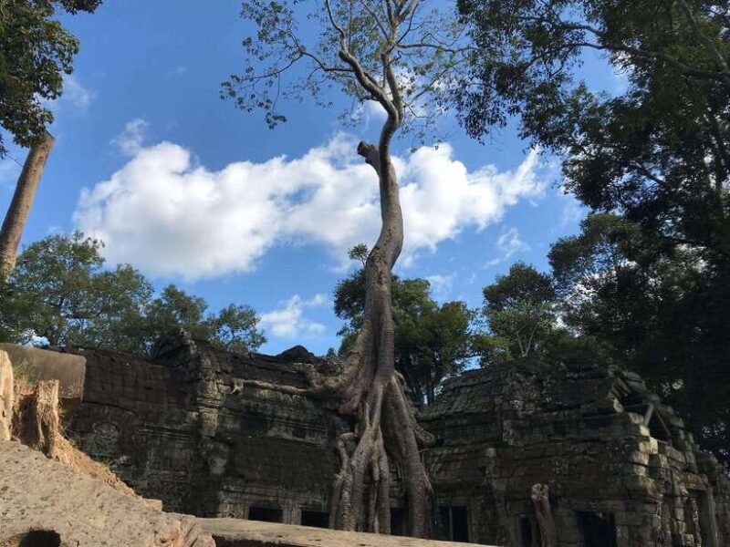 Highlights of Angkor Wat, Ta Prohm & Angkor Thom - What Does the Tour Include and Exclude?