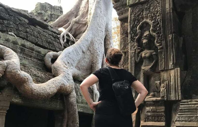Highlights of Angkor Wat, Ta Prohm & Angkor Thom - Authentic Experiences and Review Insights
