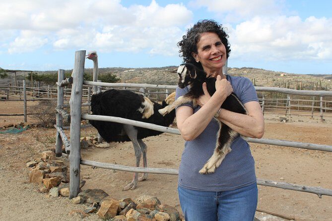 Highlights of Aruba Island Tour - Key Points