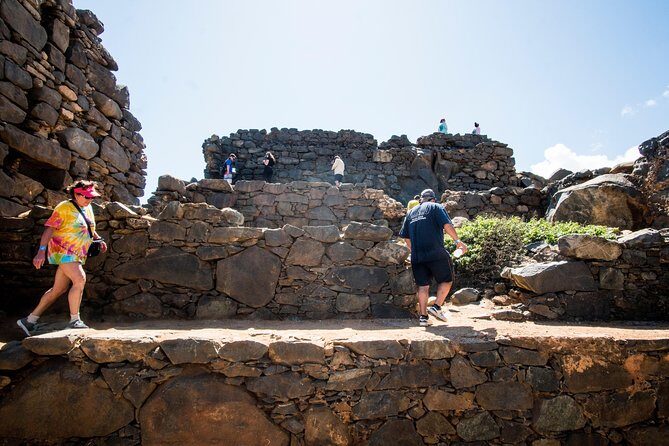 Highlights of Aruba Island Tour - What Makes This Tour Stand Out?