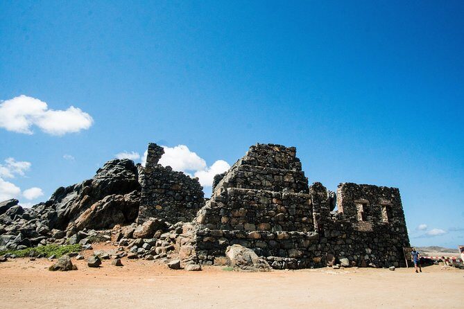 Highlights of Aruba Island Tour - Who Will Love This Tour?