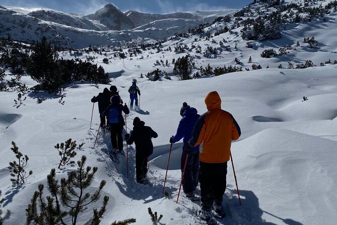 Highlights of Bulgaria: Seven Rila Lakes and SPA - Learning About Bulgarian History and Culture