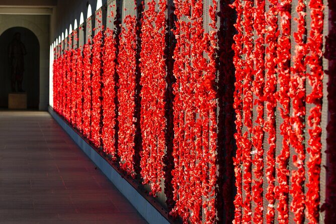 Highlights of Canberra Full Day Tour - A Deep Dive into the Itinerary