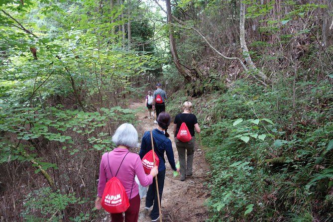 Highlights of Japan Tour: 10-day Small Group - Discovering Kyotos Wonders