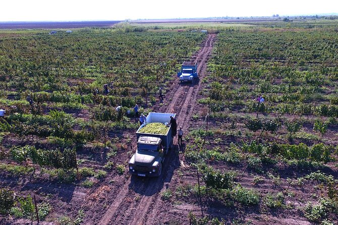 Highlights of Kakheti Region-Signagi,Bodbe,Wine Tasting(Private Tour) - Bodbe Monastery
