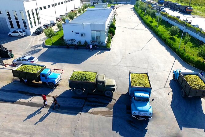 Highlights of Kakheti Region-Signagi,Bodbe,Wine Tasting(Private Tour) - Sighnaghi: The "City of Love"