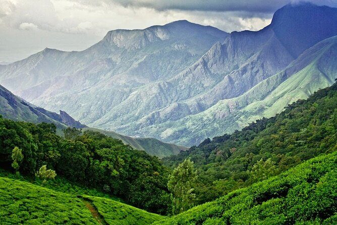 Highlights of Kerala - What Reviewers Say About the Experience