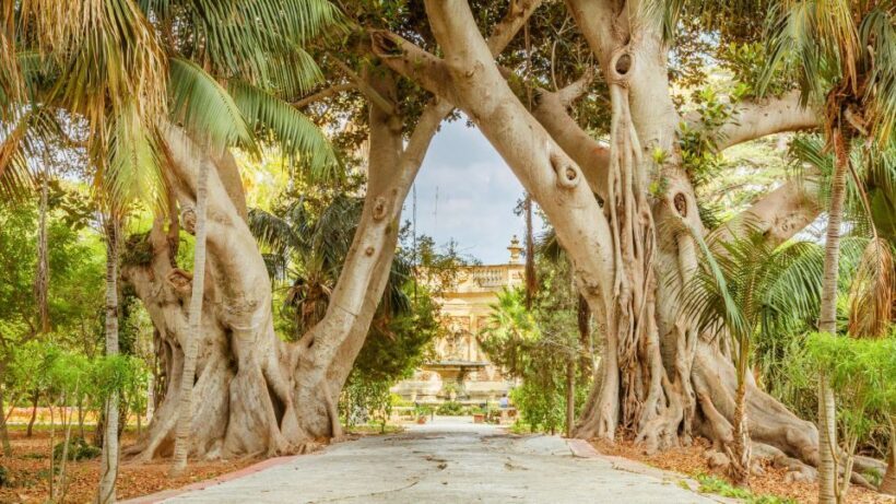 Highlights of Malta Tour:Icons and Experiences of the Island - The Experience of Traveling in Malta