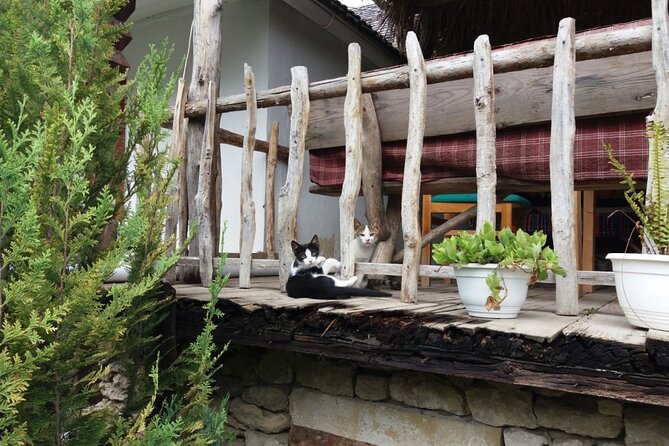 Highlights of Moldova - Curchi and Old Orhei + Cricova (Optional) - Cricova Wine Cellar