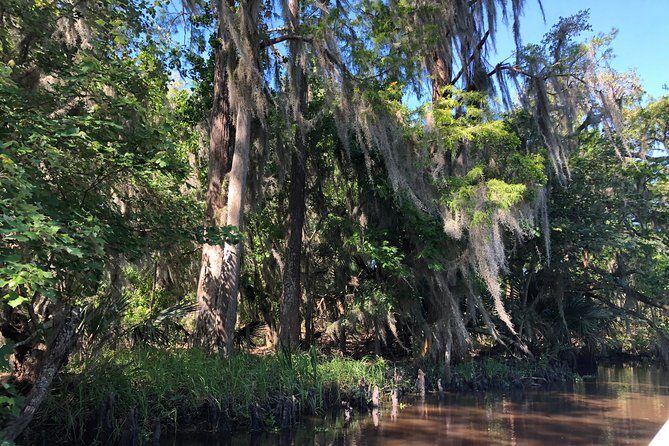 Highlights of New Orleans City and Swamp Tour Combination - Key Points