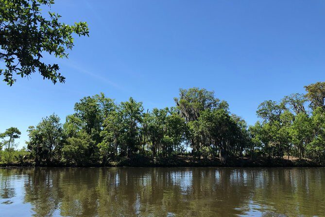 Highlights of New Orleans City and Swamp Tour Combination - Deep Dive into the Experience