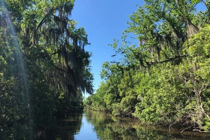 Highlights of New Orleans City and Swamp Tour Combination - Practical Tips for Travelers