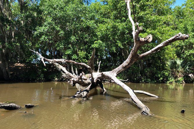 Highlights of New Orleans City and Swamp Tour Combination - FAQ