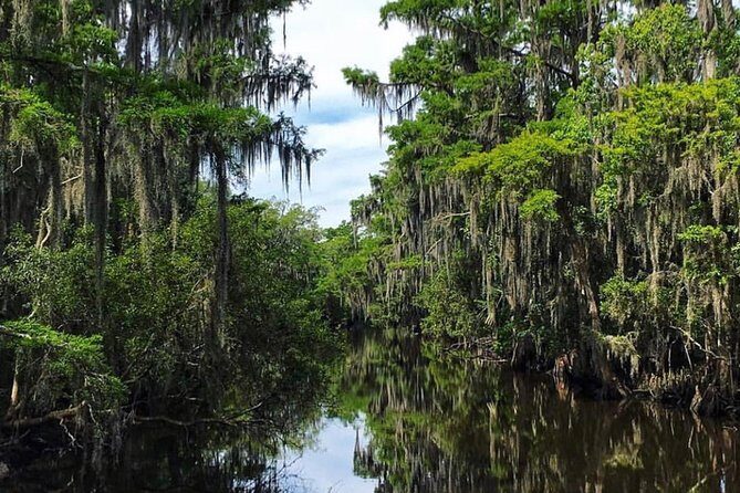 Highlights of New Orleans City and Swamp Tour Combination - The Sum Up