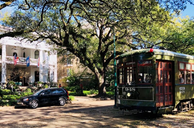 Highlights of New Orleans  Private Driving Tour - Who Should Consider This Tour?