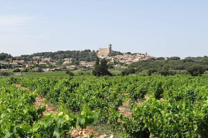 Highlights of Provence : Chateauneuf Du Pape & Luberon - Wine Tastings in Châteauneuf-du-Pape