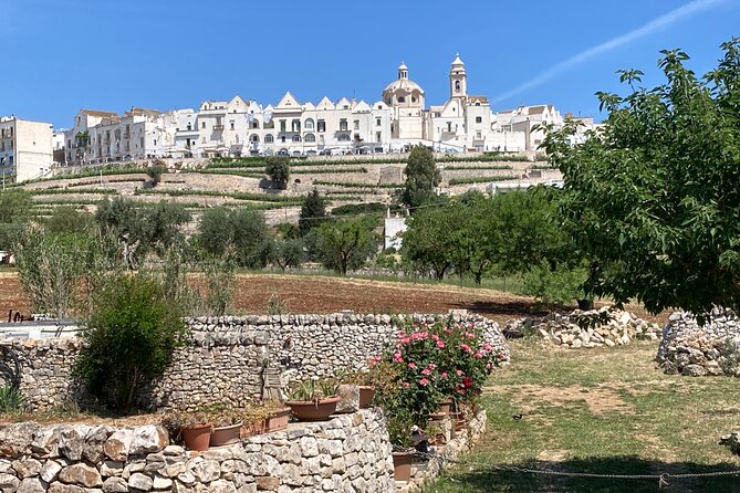 Highlights of Puglia: Bari, Alberobello and the charming villages - Final Thoughts