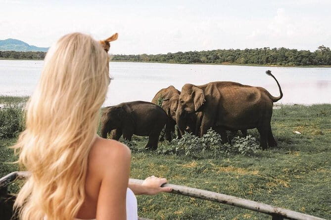Highlights Of Sri Lanka | 7 Days - FAQ