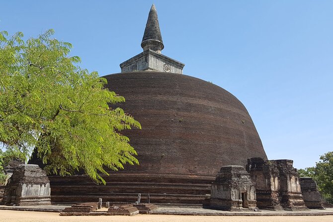 Highlights of Sri Lanka 8 Days Private Tour - A Complete Breakdown of the Itinerary