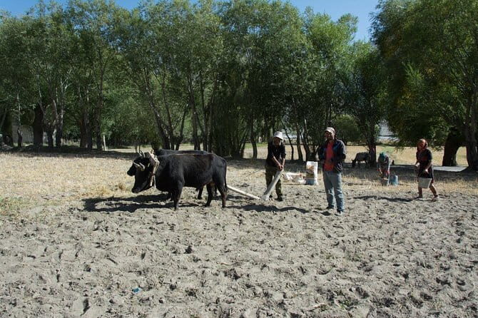 Highlights of Tajikistan - Days 11-12: Lakes, Peaks, and the Return