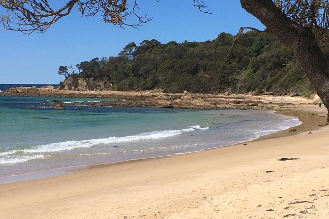 Highlights of the Eurobodalla (half day private tour) - Who Would Enjoy This Tour?