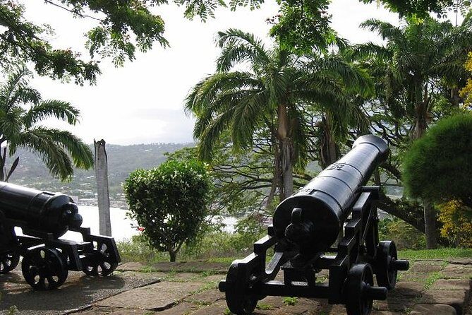 Highlights of Tobago Tour - An In-Depth Look at the Tour Experience