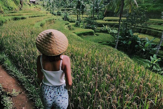 Highlights of Ubud: Nature, Rice Terrace, Waterfall, Temple and more - Exploring Ubud: A Balanced Look at a Popular Bali Day Trip
