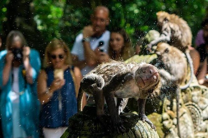 Highlights of Ubud: Nature, Rice Terrace, Waterfall, Temple and more - Who Will Love This Tour?