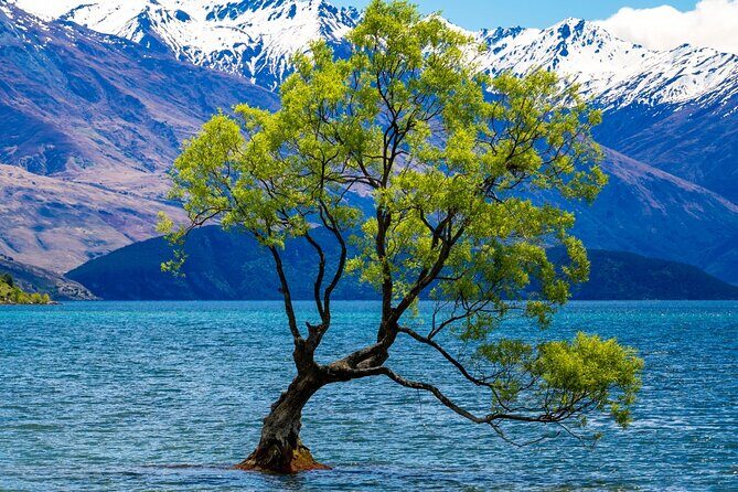 Highlights of Wanaka Scenic Shuttle Tour from Queenstown - A Deep Dive into the Itinerary