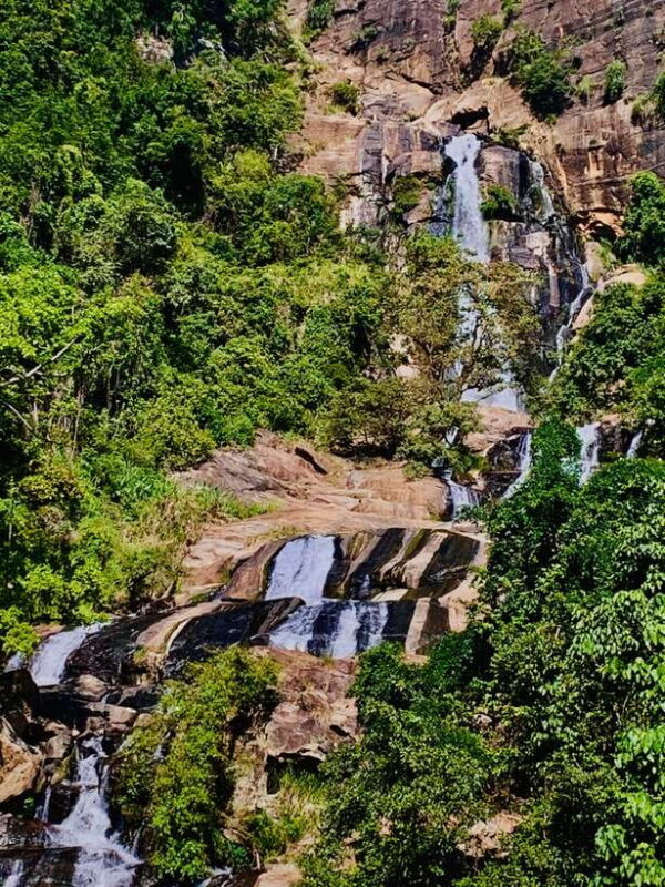 Highlights tour with tasting & Green environment in ella - Who Will Love This Tour?