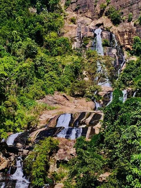 Highlights tour with tasting & Green environment in ella - Final Words