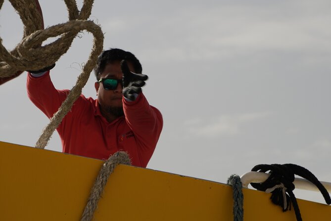 Highspeed Catamaran Crossing Between Malta and Gozo - FAQs