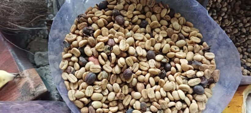 Higuey discovery, coffee and cocoa tasting from punta cana - Key Points