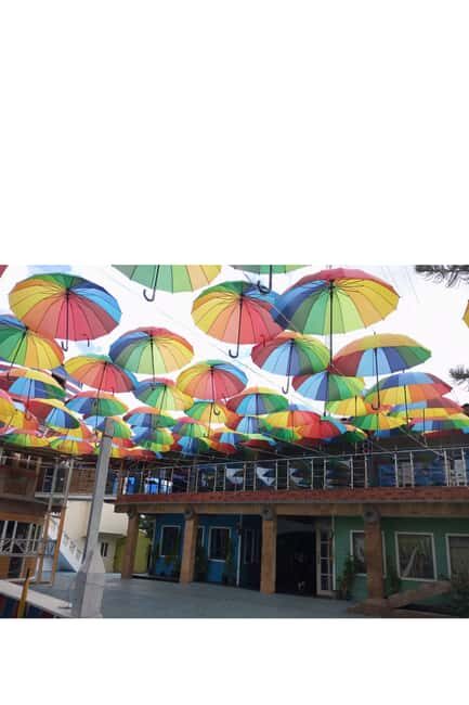 Higuey discovery, coffee and cocoa tasting from punta cana - A Deep Dive into the Experience