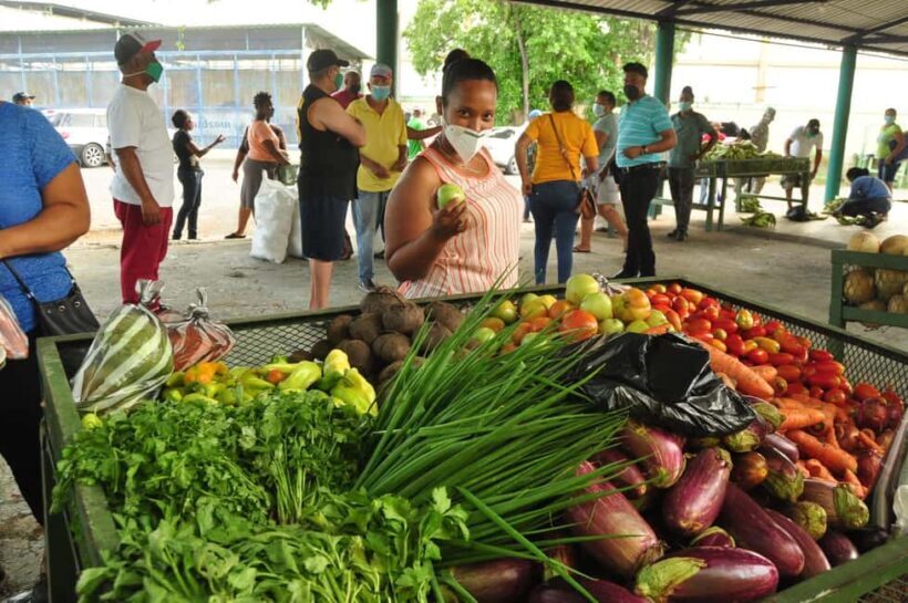 Higuey discovery, coffee and cocoa tasting from punta cana - Who This Tour Is Best For