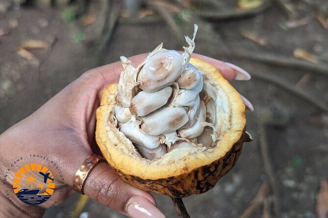 Higuey expedition cultural and historical tour from Punta Cana - Who Will Love This Tour?