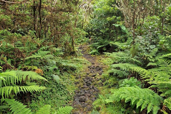 Hike 3 hours Inland Terceira Island - Who Will Love This Tour?