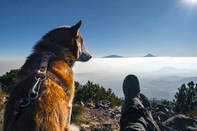 Hike Ajusco Volcano Sunrise Summit Adventure Photos and Video - The Practicalities: Timing, Fitness, and Booking