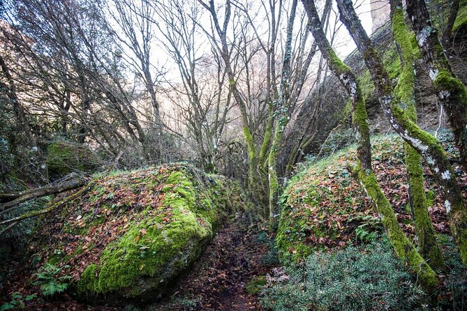 Hike Among & Fly Above Meteora - Savoring the Delightful Lunch Amidst the Stunning Scenery