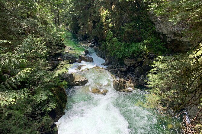 Hike and Bike the Vancouver Forests - An In-Depth Look at the Vancouver Forests Hike and Bike Tour