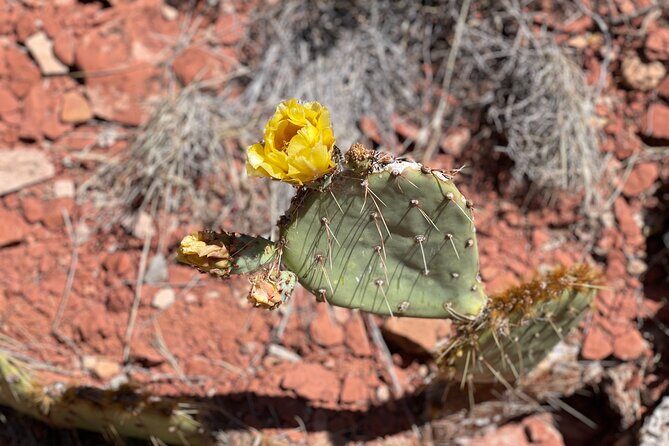Hike and Heal Couples Relationship in Sedona Healing Red Rocks - An Invitation to Reconnect in Sedona’s Stunning Landscape